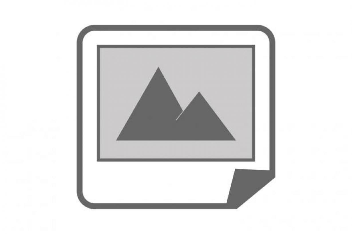 5615-6-P | Probe, PRT, 100 ohm (3/16 x 6 inch), | Fluke